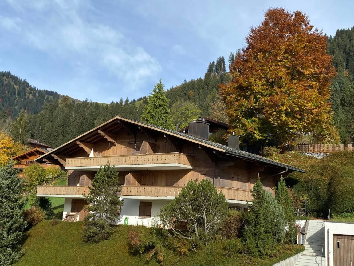 Appartamento Vacanza ∙ 1 Camera Da Letto ∙ 2 Ospiti - Gstaad