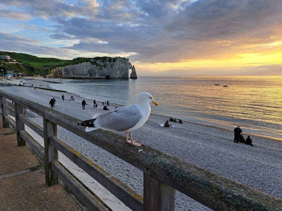 90 M² Appartement ∙ 2 Chambres ∙ 6 Personnes - Yport