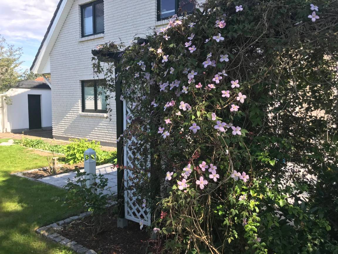 65 M² Appartamento Vacanza ∙ 1 Camera Da Letto ∙ 4 Ospiti - Greifswald