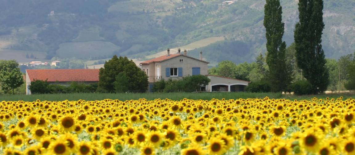 50 M² House ∙ 1 Bedroom ∙ 2 Guests - Die