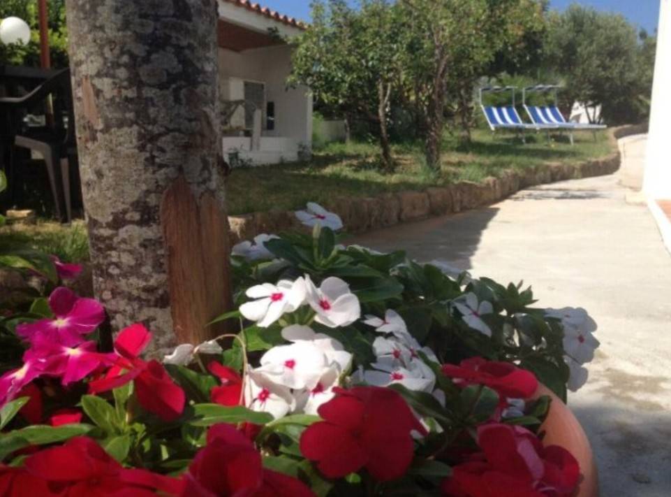 40 M² Apartment ∙ 1 Bedroom ∙ 6 Guests - Ventotene