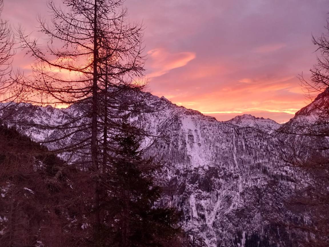 Appartamento Vacanza ∙ 1 Camera Da Letto ∙ 4 Ospiti - Valpelline