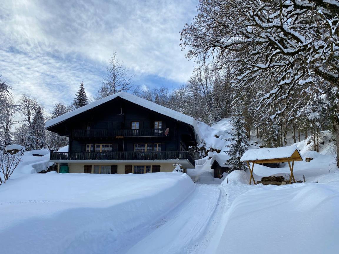 50 M² Apartment ∙ 1 Bedroom ∙ 2 Guests - Les Diablerets