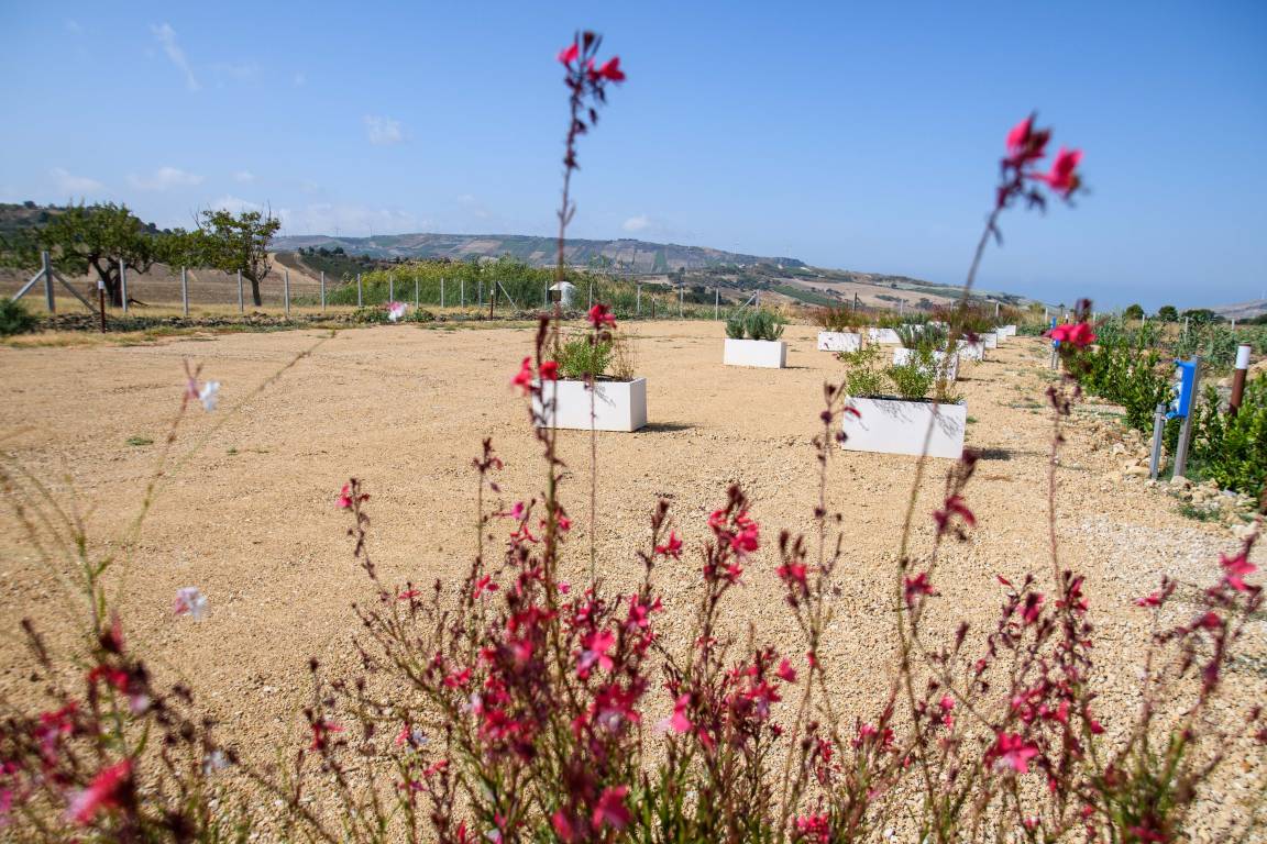 90 M² Agriturismo ∙ 1 Camera Da Letto ∙ 6 Ospiti - Sicilia