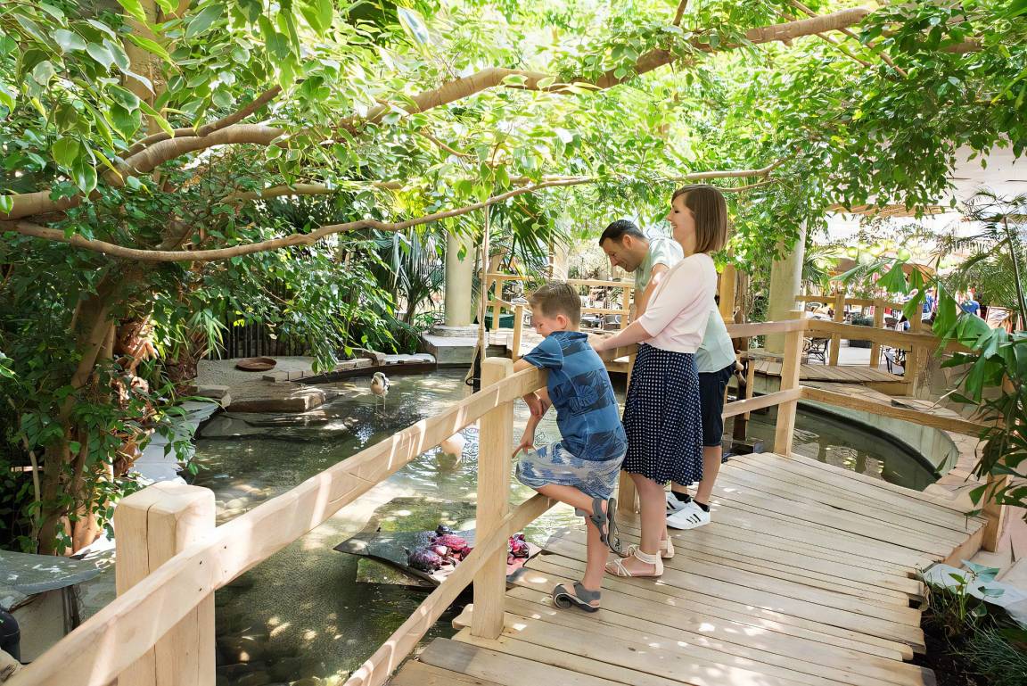 Cottage ∙ 2 Bedrooms ∙ 4 Guests - Zierikzee