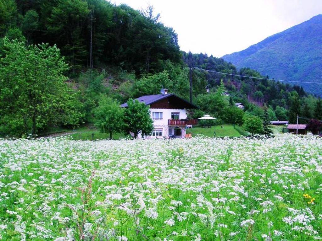 60 M² Appartamento Vacanza ∙ 2 Camere Da Letto ∙ 5 Ospiti - Limone Sul Garda