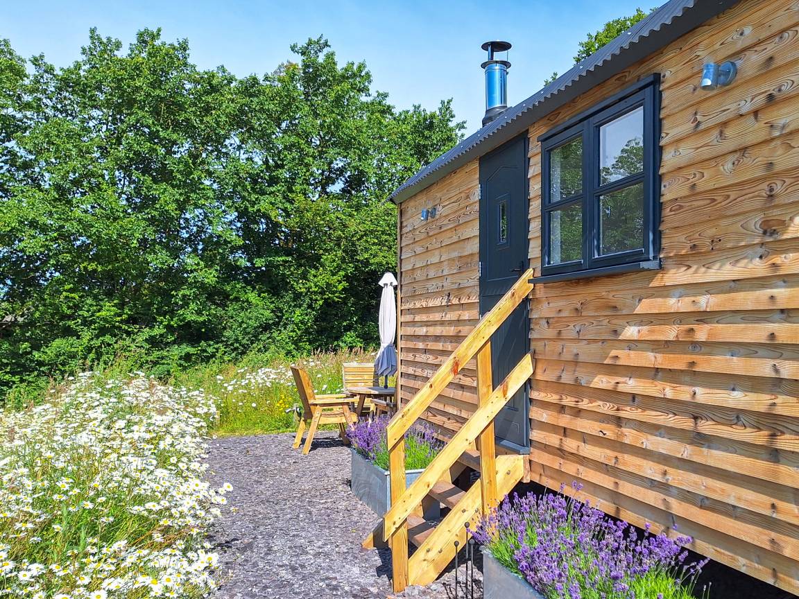 Cottage ∙ 1 Bedroom ∙ 2 Guests - Clovelly