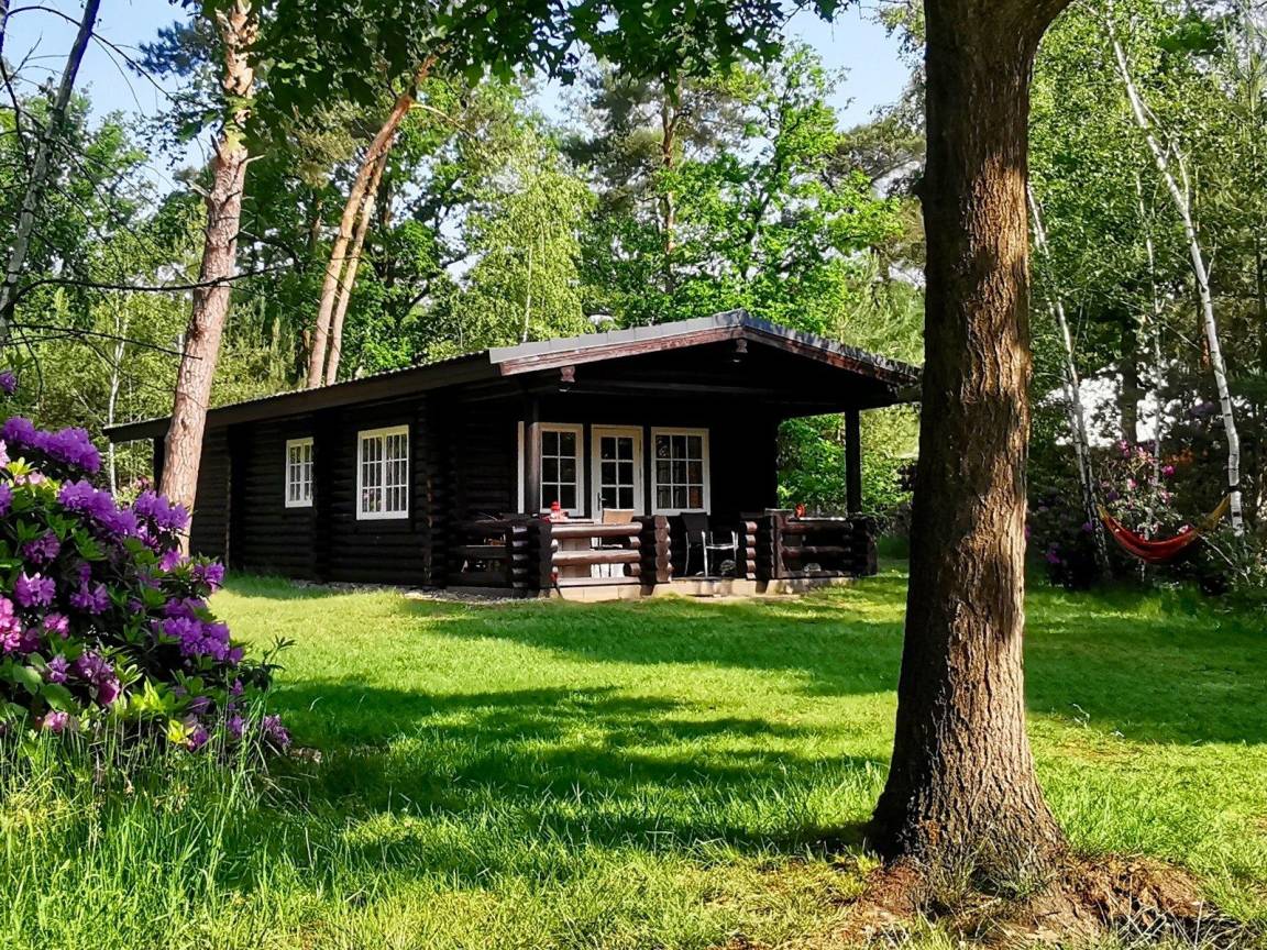 40 M² Bungalow ∙ 2 Slaapkamers ∙ 4 Gasten - Lochem