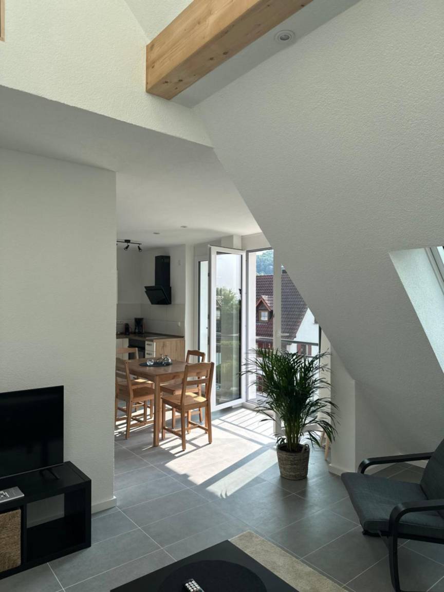58 M² Appartement ∙ 1 Slaapkamer ∙ 2 Gasten - Allensbach