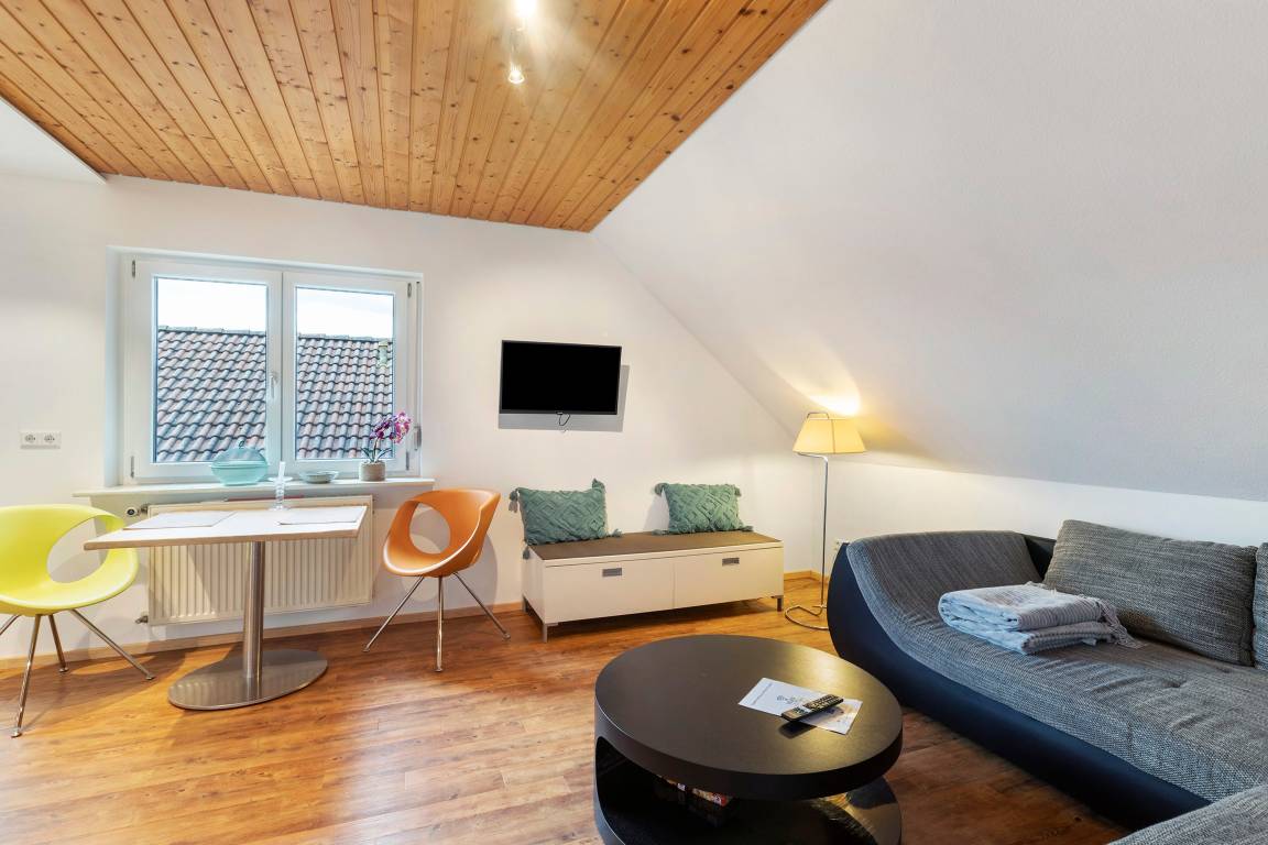 50 M² Appartement ∙ 1 Chambre ∙ 2 Personnes - Donaueschingen