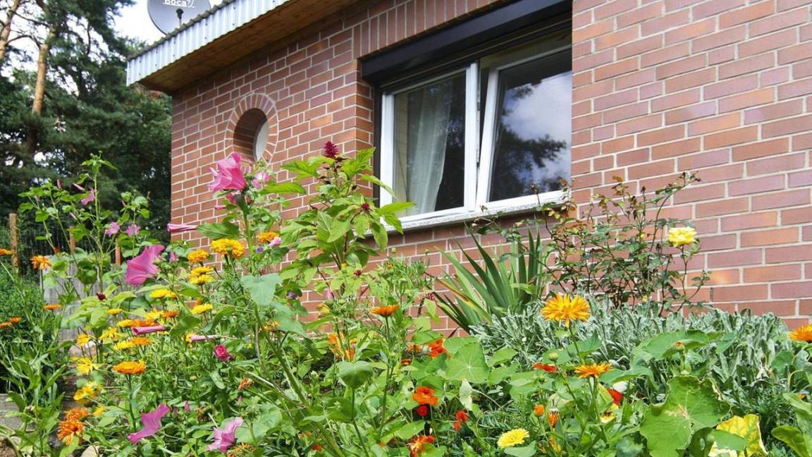55 M² Maison De Vacances ∙ 1 Chambre ∙ 2 Personnes - Feldberger Seenlandschaft