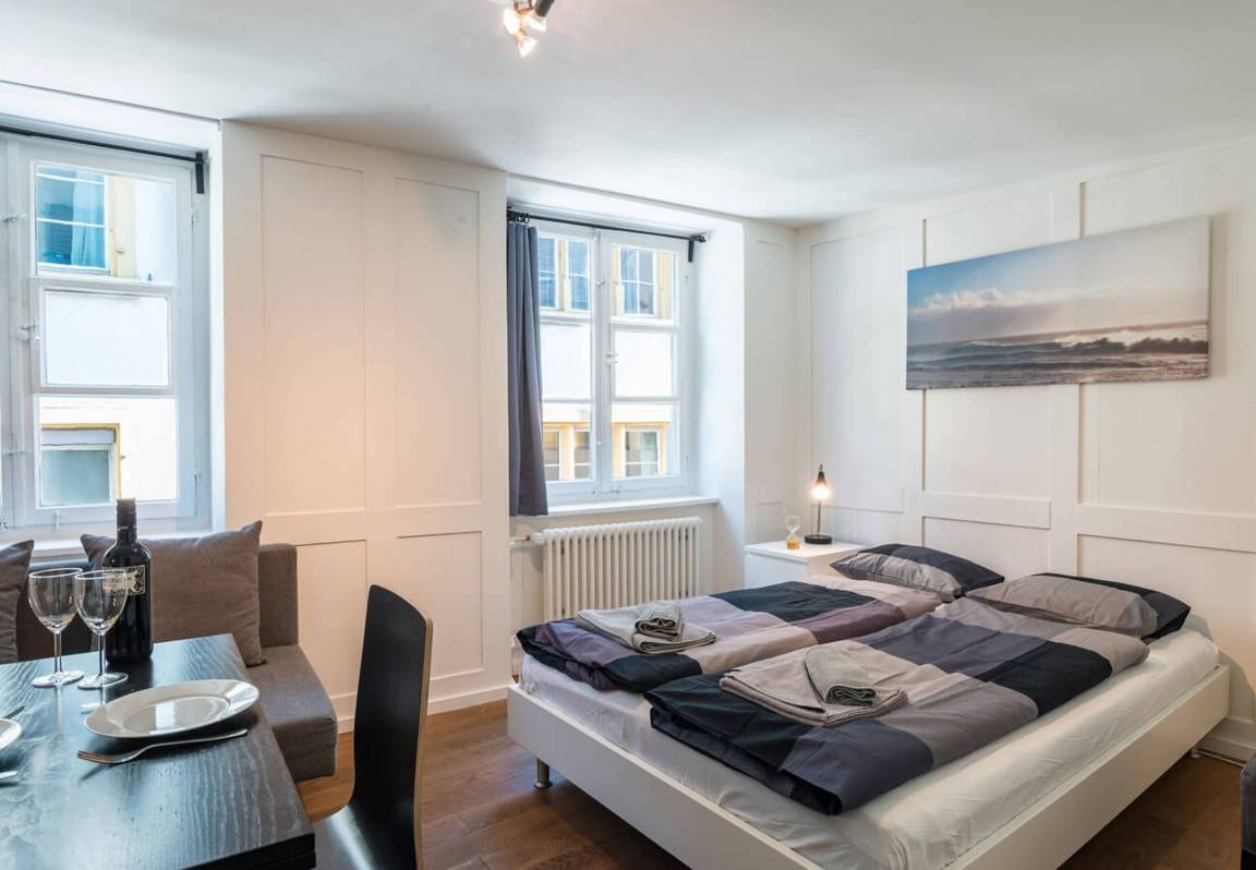 19 M² Studio Flat ∙ 3 Guests - Zurich main station