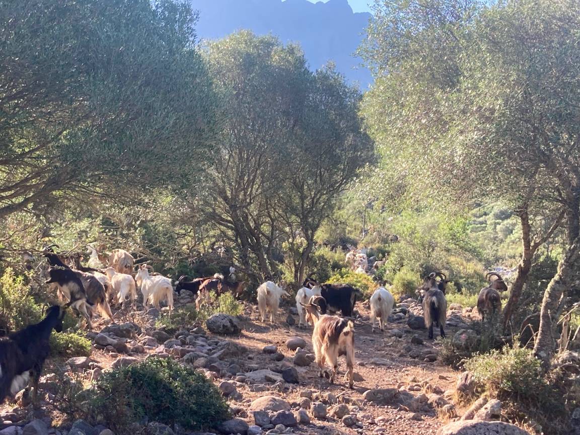 22 M² Bed And Breakfast ∙ 1 Bedroom ∙ 2 Guests - Galéria