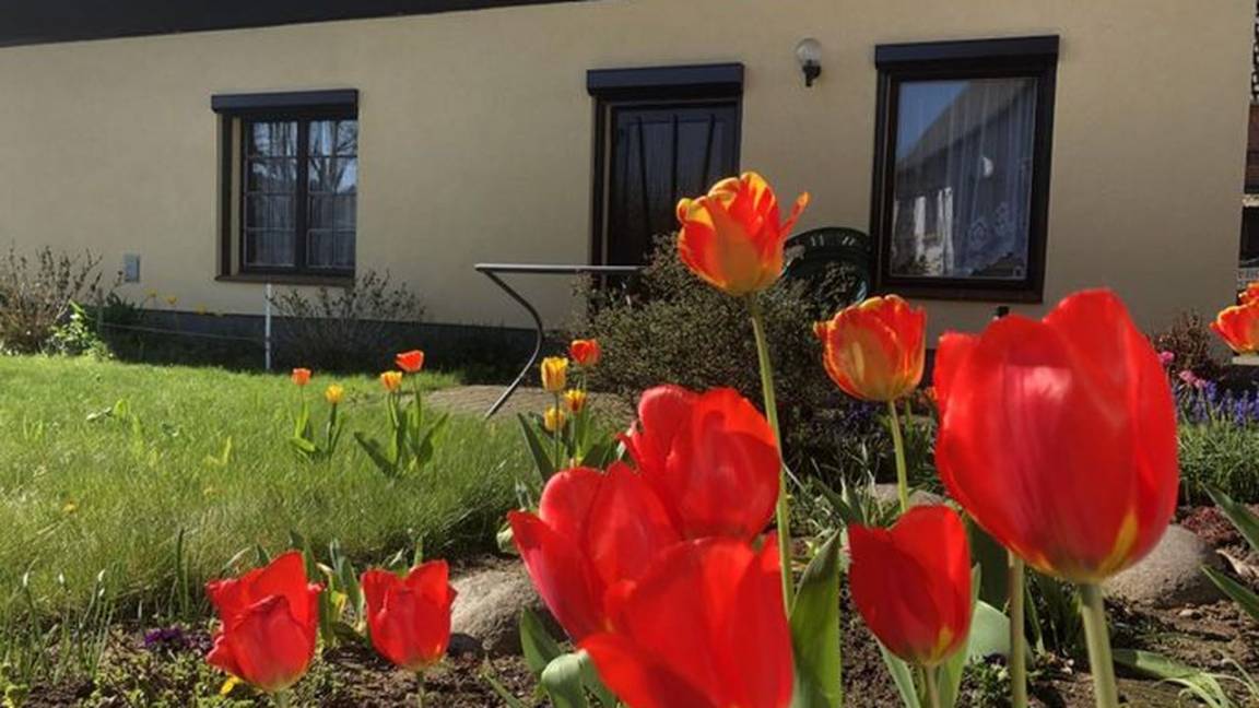 54 M² Apartment ∙ 1 Bedroom ∙ 4 Guests - Neustadt-Glewe