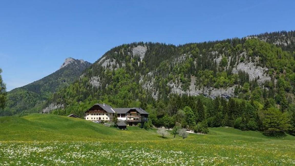 30 M² Ferienwohnung ∙ 1 Schlafzimmer ∙ 2 Gäste - Mondsee