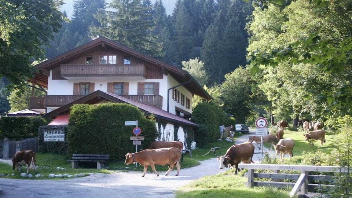 102 M² House ∙ 3 Bedrooms ∙ 8 Guests - Garmisch-Partenkirchen