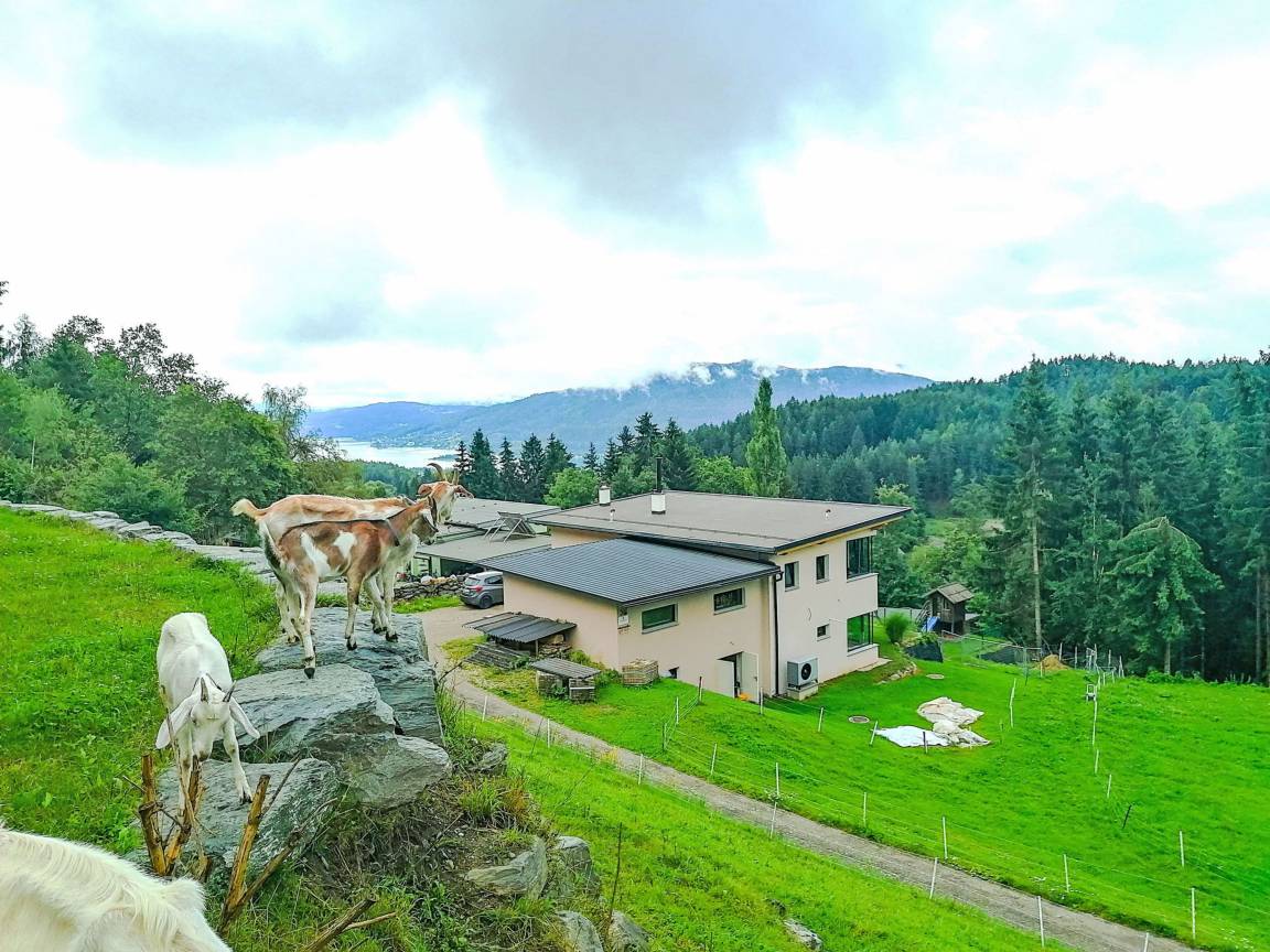 180 M² Villa ∙ 1 Schlafzimmer ∙ 7 Gäste - Wörthersee