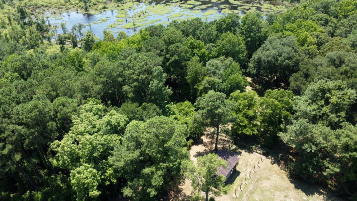 Camping ∙ 1 Chambre ∙ 4 Personnes - Caroline du Sud