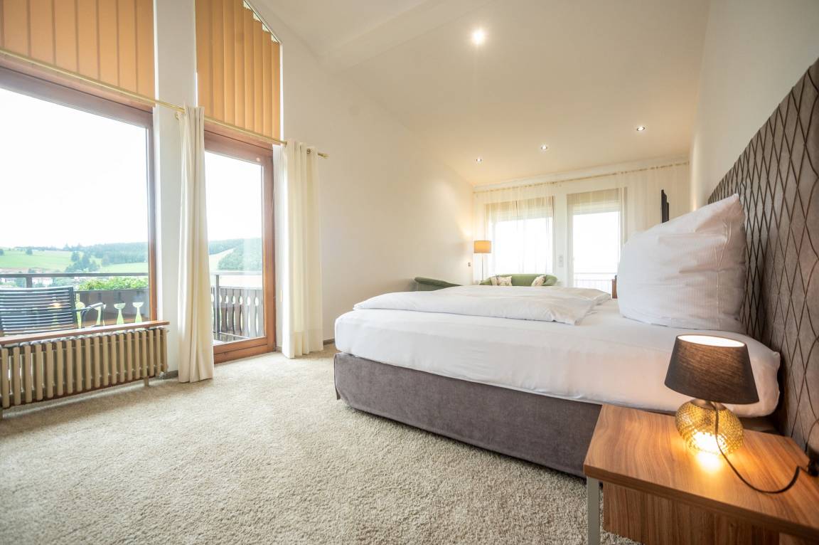Ferienwohnung ∙ 2 Gäste - Todtnauberg