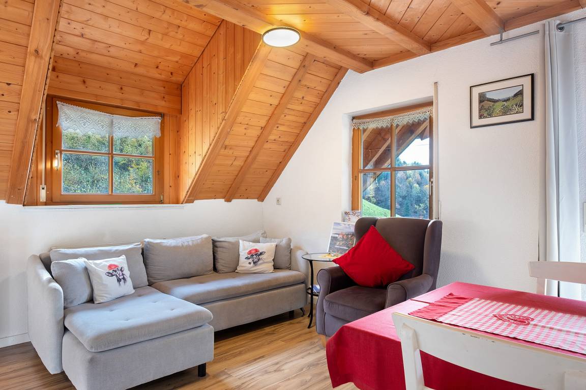 66 M² Ferienwohnung ∙ 2 Schlafzimmer ∙ 3 Gäste - Gengenbach