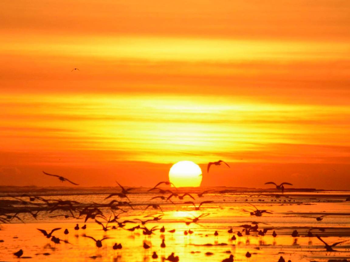 Cottage ∙ 2 Bedrooms ∙ 4 Guests - Berwick-upon-Tweed