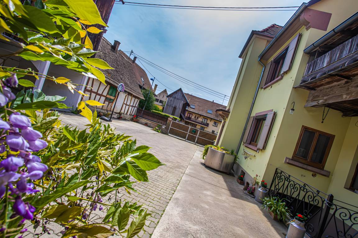 280 M² Ferienhaus ∙ 6 Schlafzimmer ∙ 14 Gäste - Ettenheim