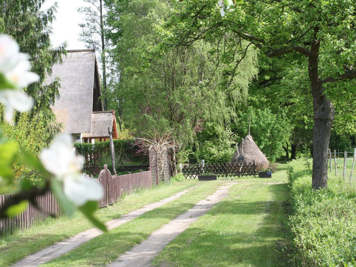 50 M² Ferienhaus ∙ 2 Schlafzimmer ∙ 3 Gäste - Lübbenau/Spreewald