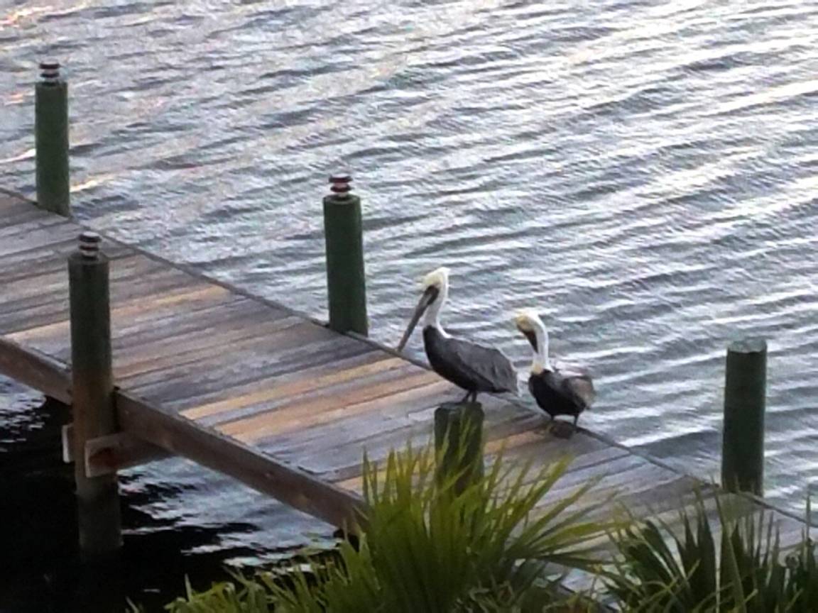 111 M² House ∙ 2 Bedrooms ∙ 6 Guests - Big Pine Key, FL