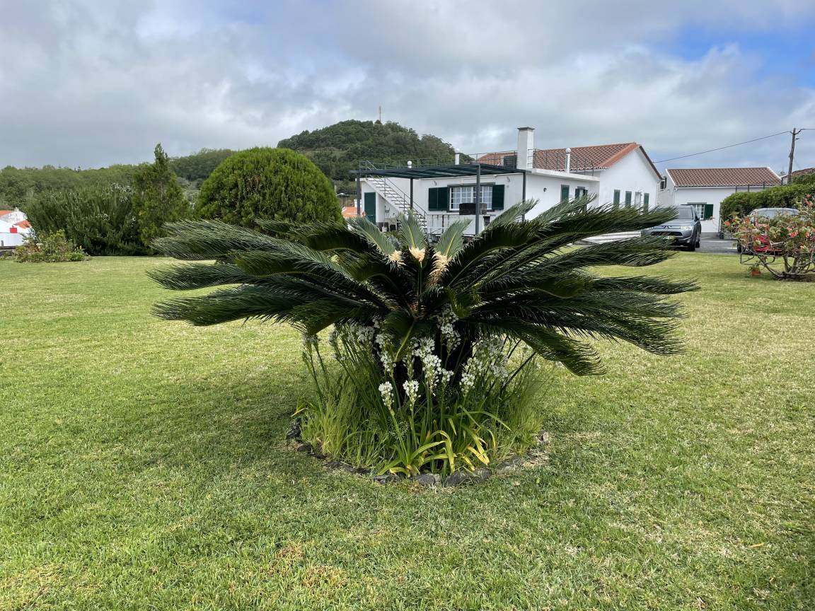 170 M² Ferienhaus ∙ 3 Schlafzimmer ∙ 8 Gäste - Ponta Delgada