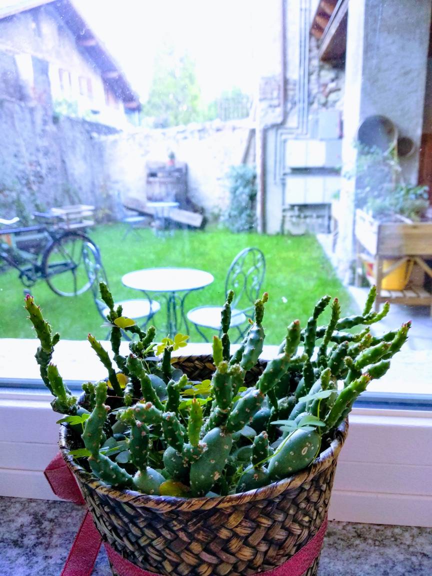 35 M² Apartment ∙ 1 Bedroom ∙ 2 Guests - Aosta