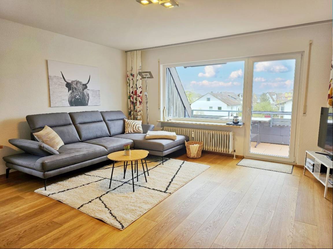 65 M² Apartment ∙ 1 Bedroom ∙ 4 Guests - Konstanz