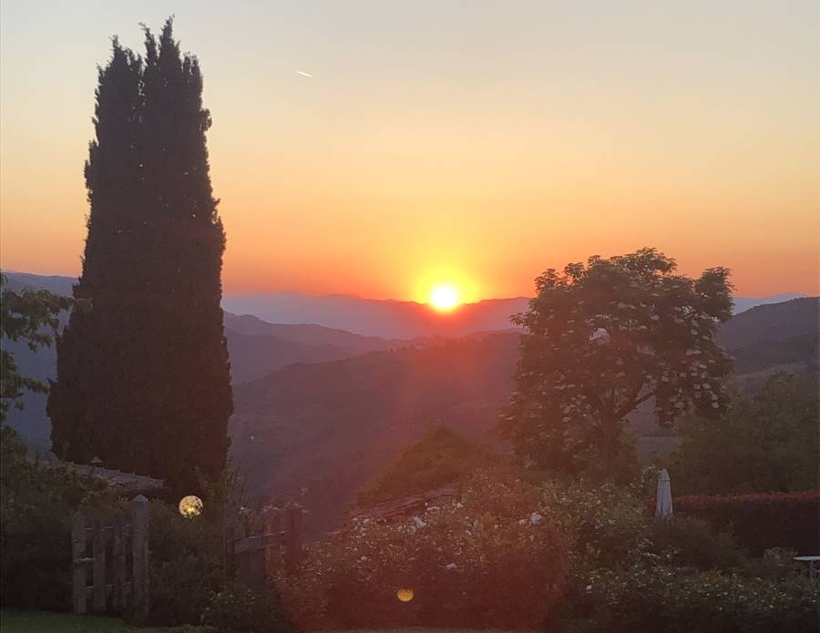 250 M² Farmhouse ∙ 5 Bedrooms ∙ 14 Guests - Tuscany