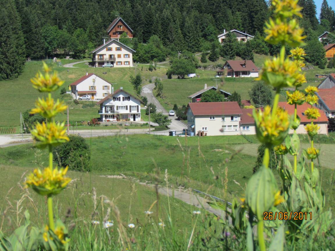 48 M² Apartment ∙ 1 Bedroom ∙ 2 Guests - Saint-Claude