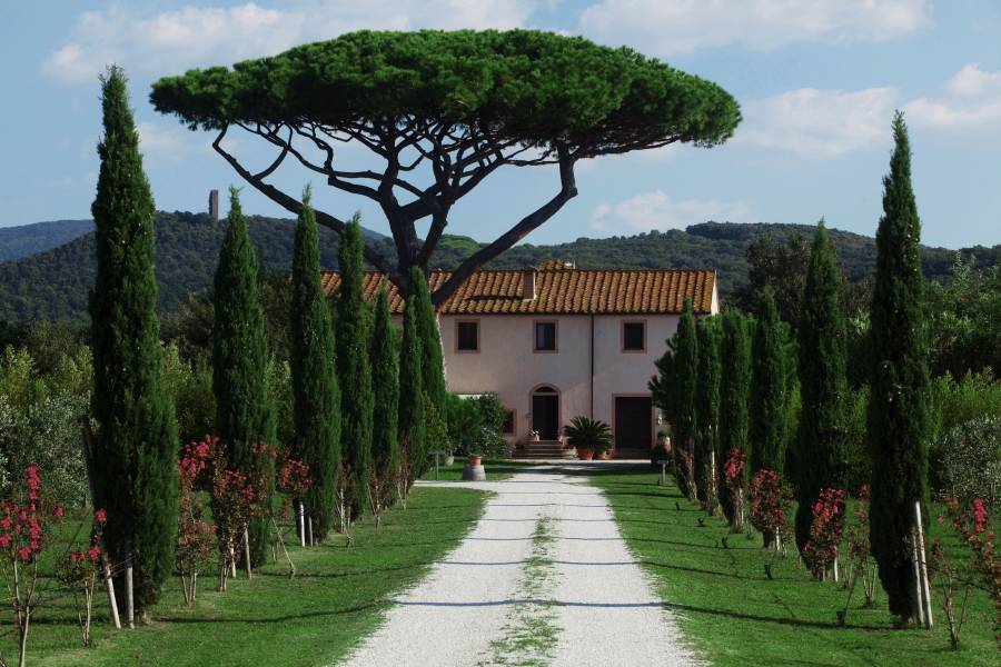 40 M² Farmhouse ∙ 1 Bedroom ∙ 3 Guests - Castagneto Carducci