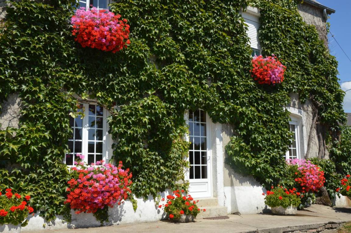 66 M² Gîte ∙ 2 Bedrooms ∙ 4 Guests - Manche