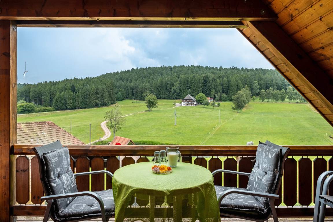 45 M² Appartement ∙ 1 Chambre ∙ 4 Personnes - Schramberg