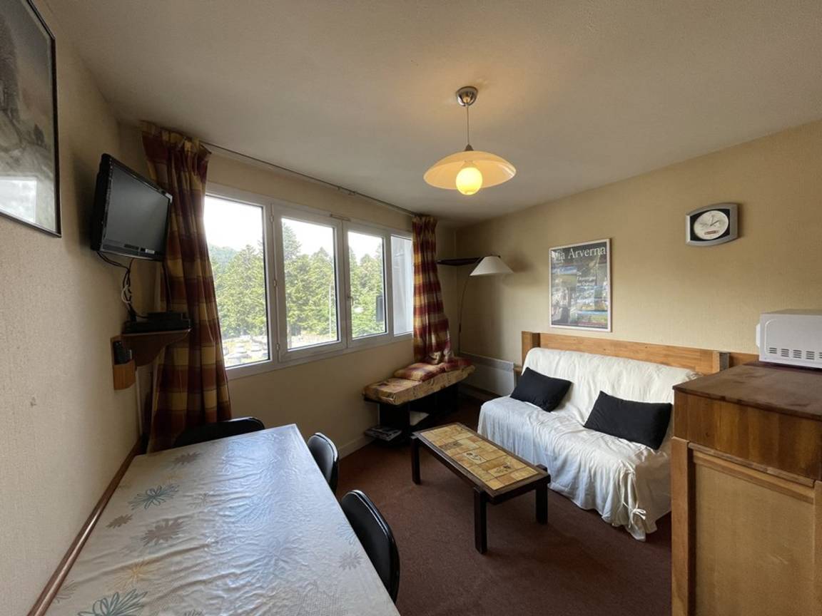 28 M² Appartement ∙ 1 Chambre ∙ 4 Personnes - Vic-sur-Cère