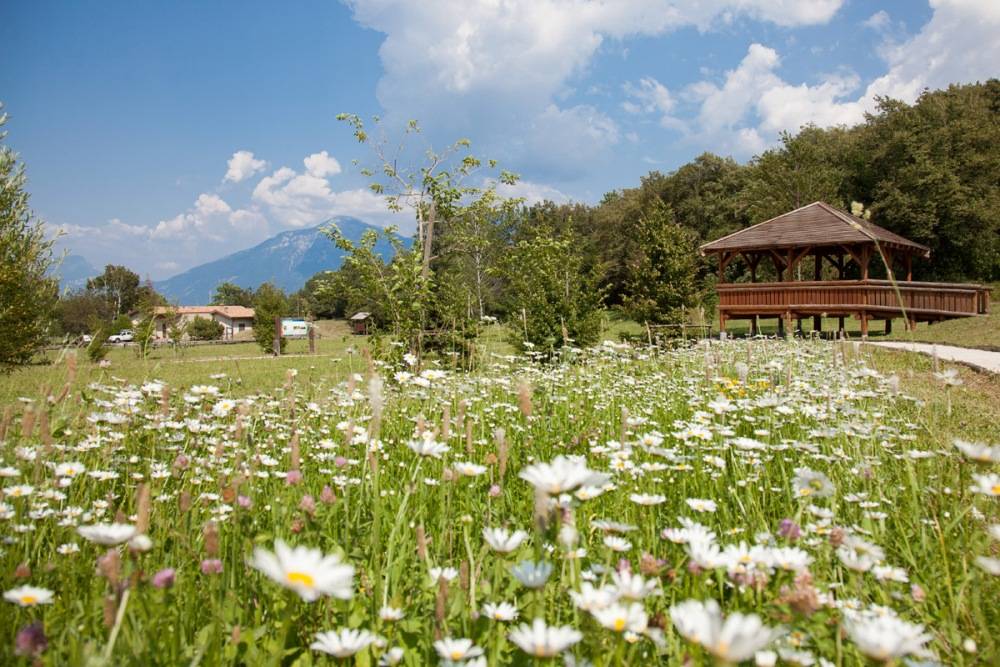 80 M² Apartment ∙ 2 Bedrooms ∙ 4 Guests - Gargnano