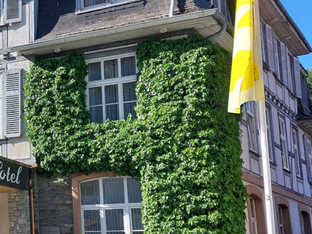 Ringhotel Kurhaus Ochs - Schmitten