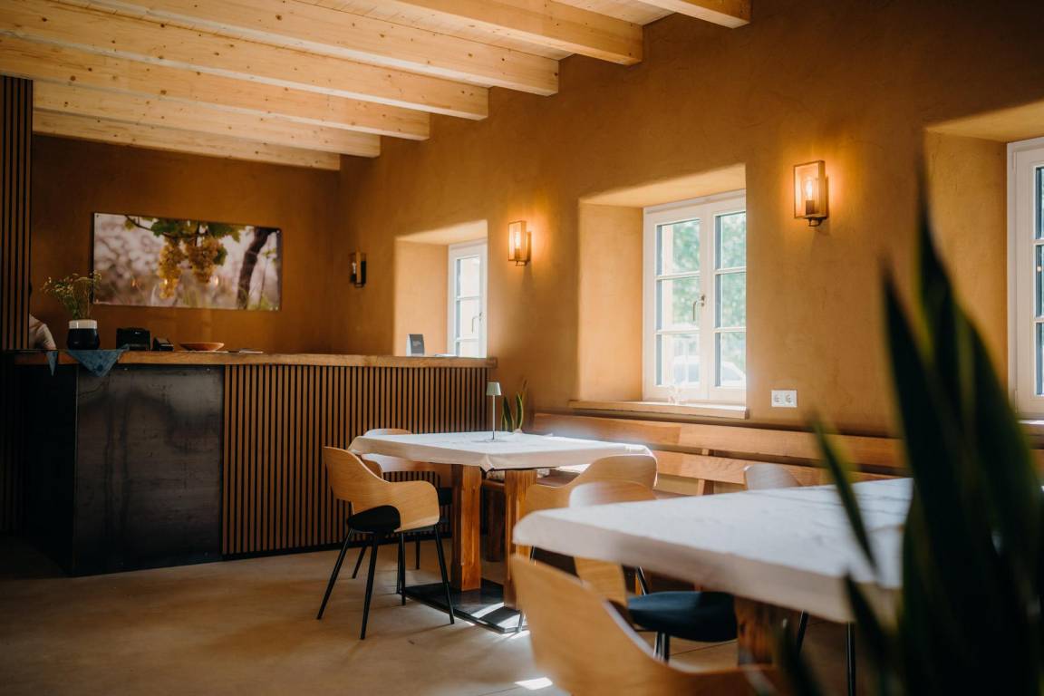 23 M² Hotel ∙ 1 Bedroom ∙ 2 Guests - Bad Gleichenberg