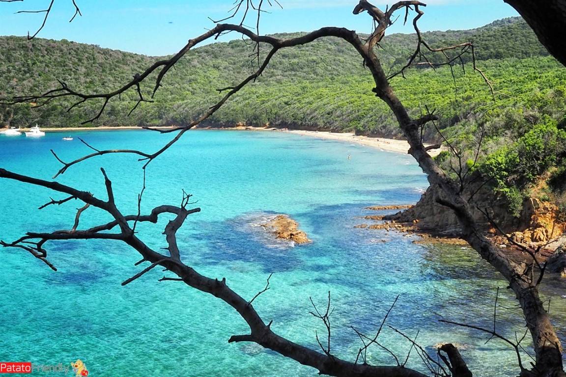 45 M² Apartment ∙ 1 Bedroom ∙ 2 Guests - Massa Marittima