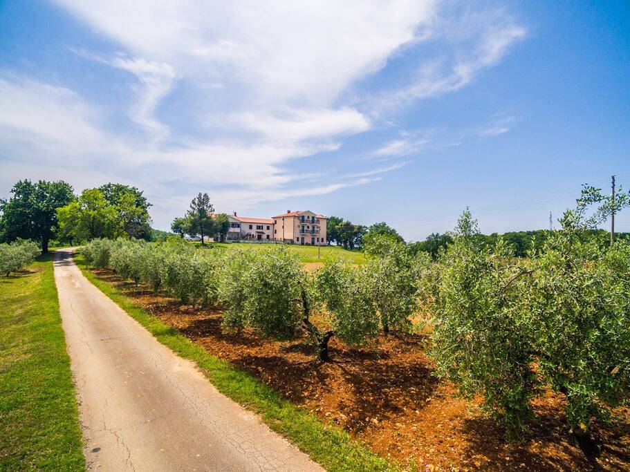 38 M² Ferienwohnung ∙ 1 Schlafzimmer ∙ 3 Gäste - Poreč
