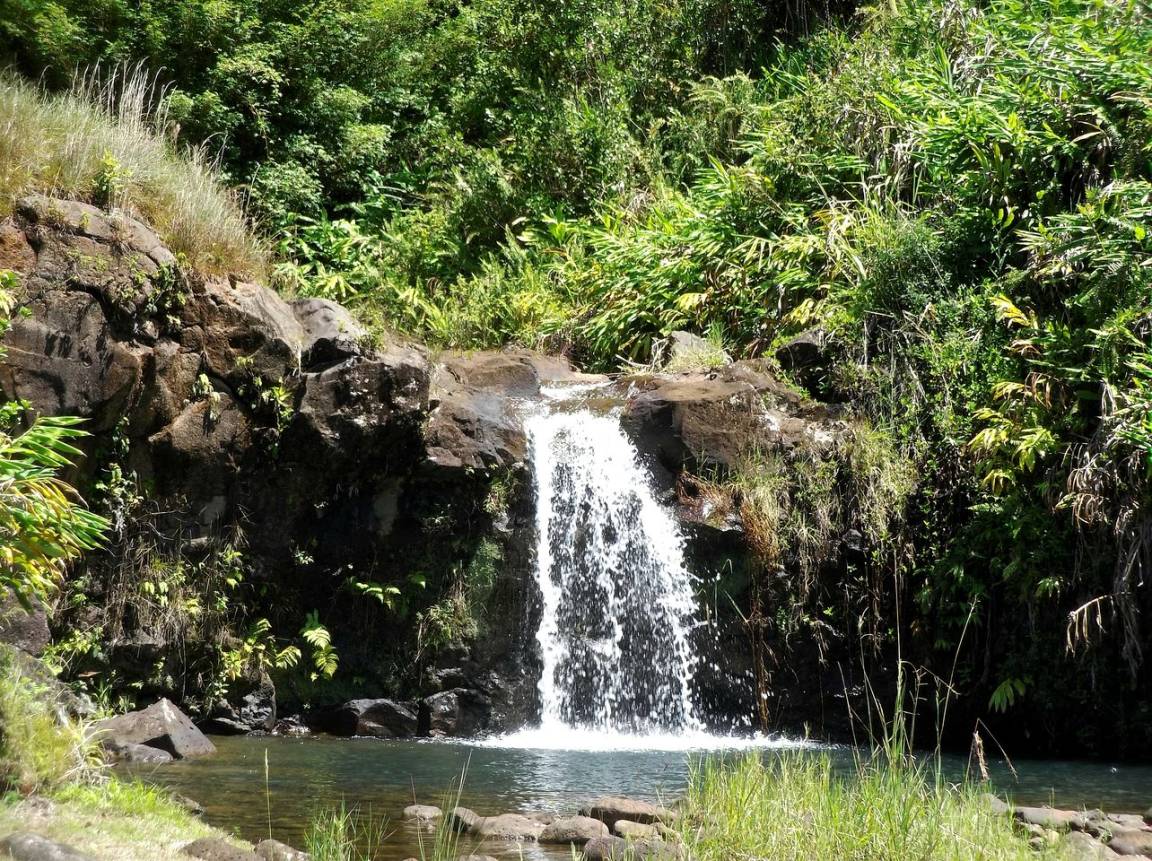 Lodge ∙ 1 Bedroom ∙ 3 Guests - Kauai, HI