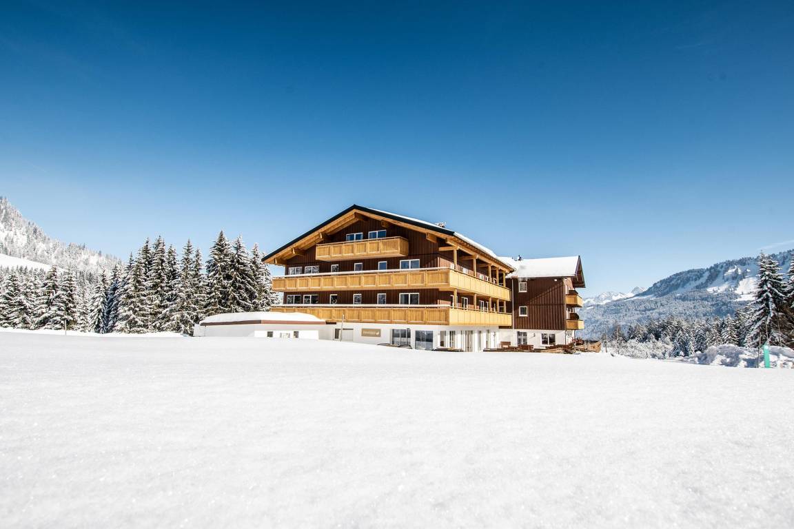 37 M² Hotel ∙ 3 Guests - Riezlern