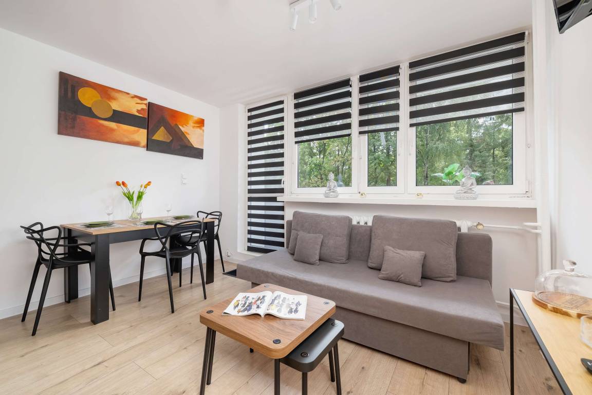 27 M² Apartamento ∙ 1 Habitación ∙ 4 Huéspedes - Katowice