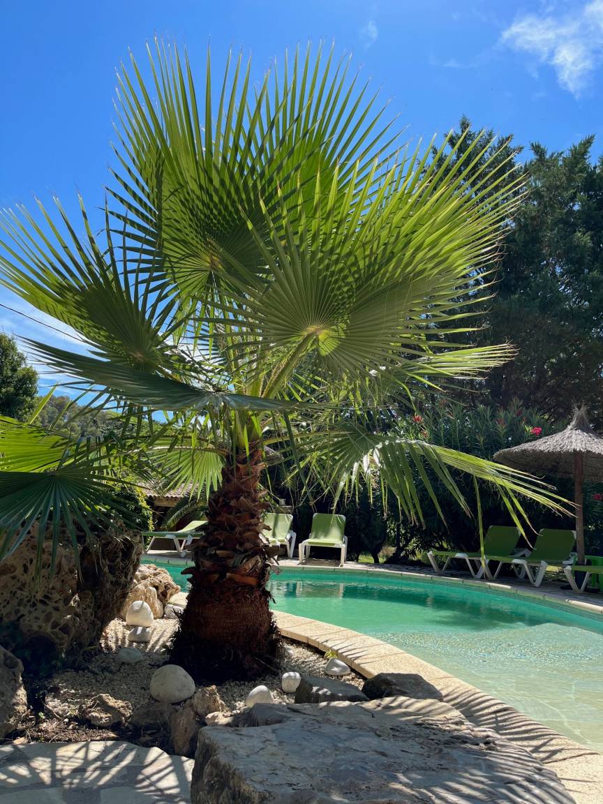 50 M² Maison De Vacances ∙ 2 Chambres ∙ 4 Personnes - Draguignan