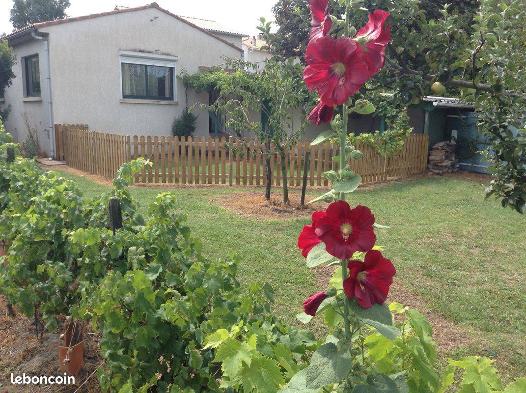 Maison De Vacances ∙ 1 Chambre ∙ 2 Personnes - Saint-Palais-sur-Mer