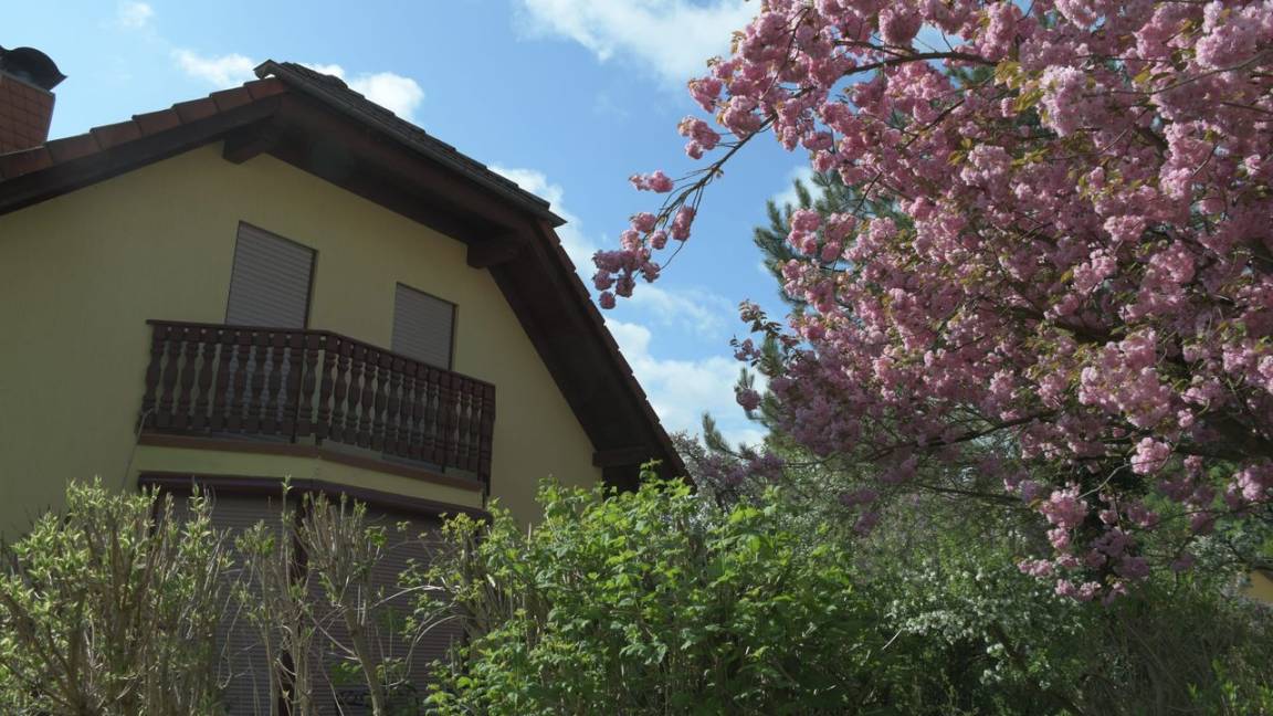 125 M² House ∙ 3 Bedrooms ∙ 6 Guests - Thüringen