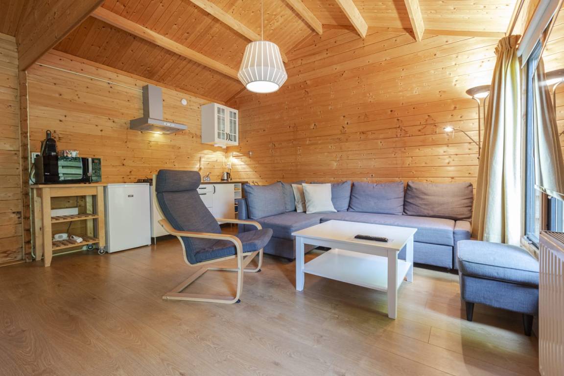 45 M² Huis ∙ 1 Slaapkamer ∙ 2 Gasten - Lisse