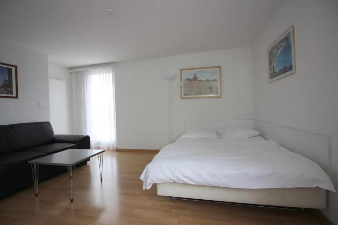 25 M² Apartment ∙ 1 Bedroom ∙ 2 Guests - Zürich